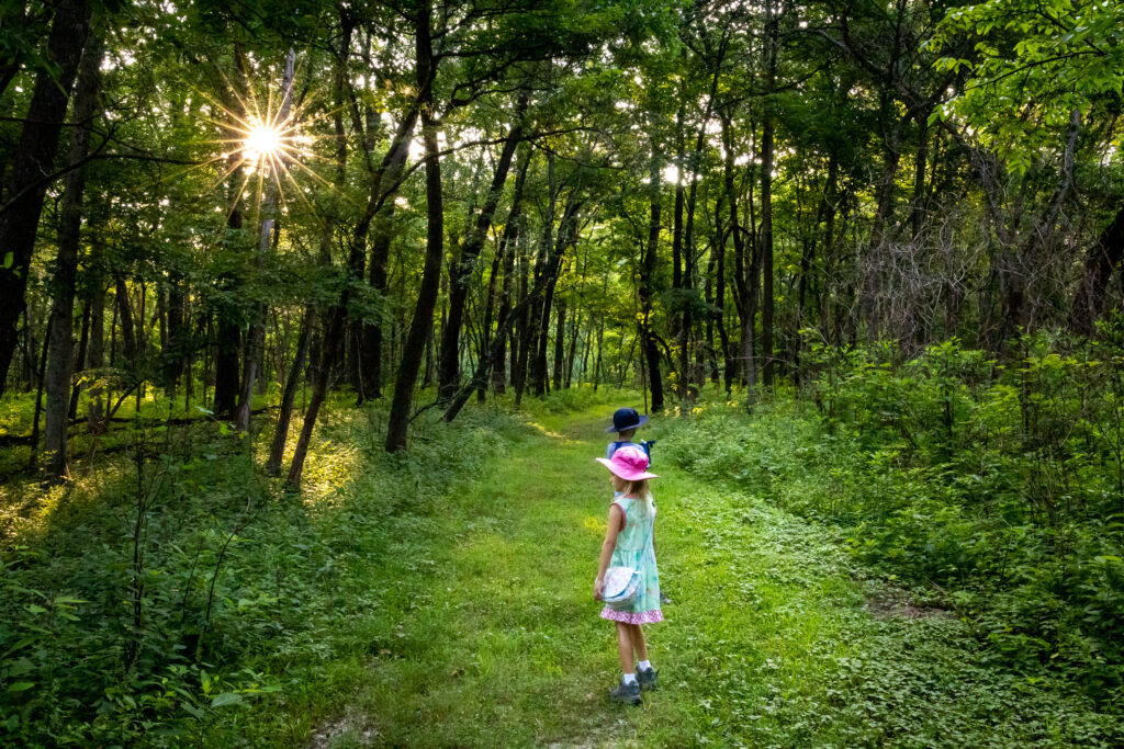 Hiking Illinois's Stemler Cave Woods Preserve - Midwest Nomad Family