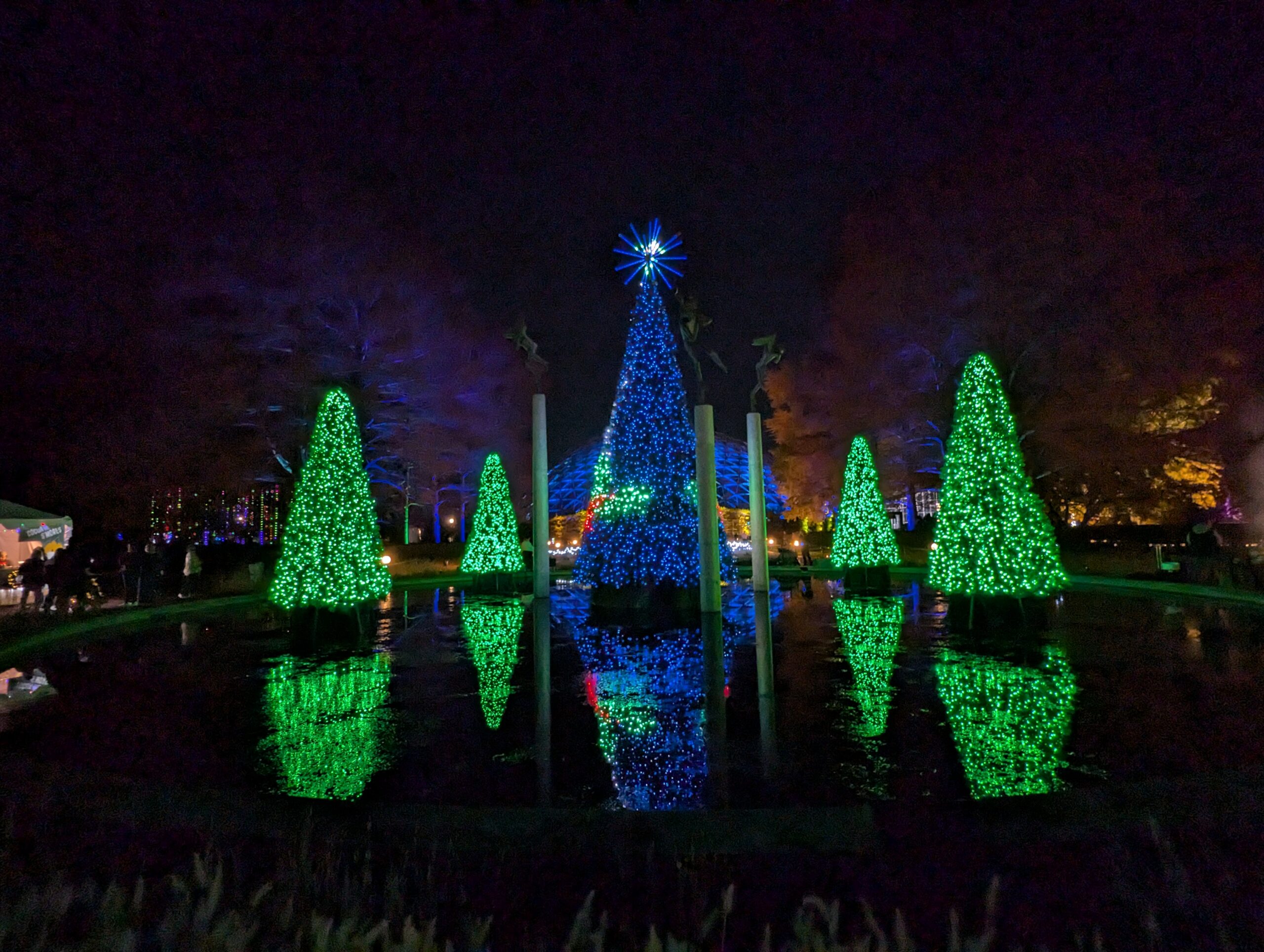 The Best Christmas Lights around St. Louis - Midwest Nomad Family
